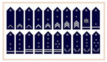 Knowledge Popularization of Emblems--Military Emblems of the U.S. Army ...