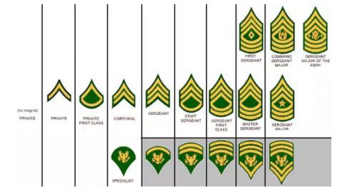 Knowledge Popularization of Emblems--Military Emblems of the U.S. Army
