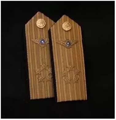 Knowledge Popularization of Emblems--Military Emblems of the U.S. Army ...